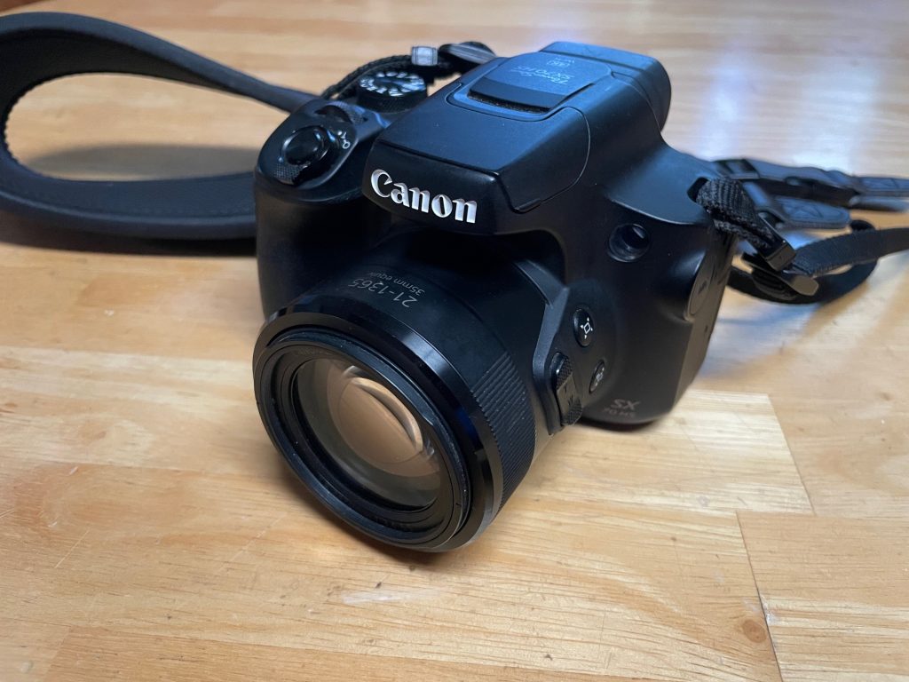 Best Camera for Safari? Simple to Use & Stunning Results