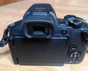 Best Camera for Safari? Simple to Use & Stunning Results