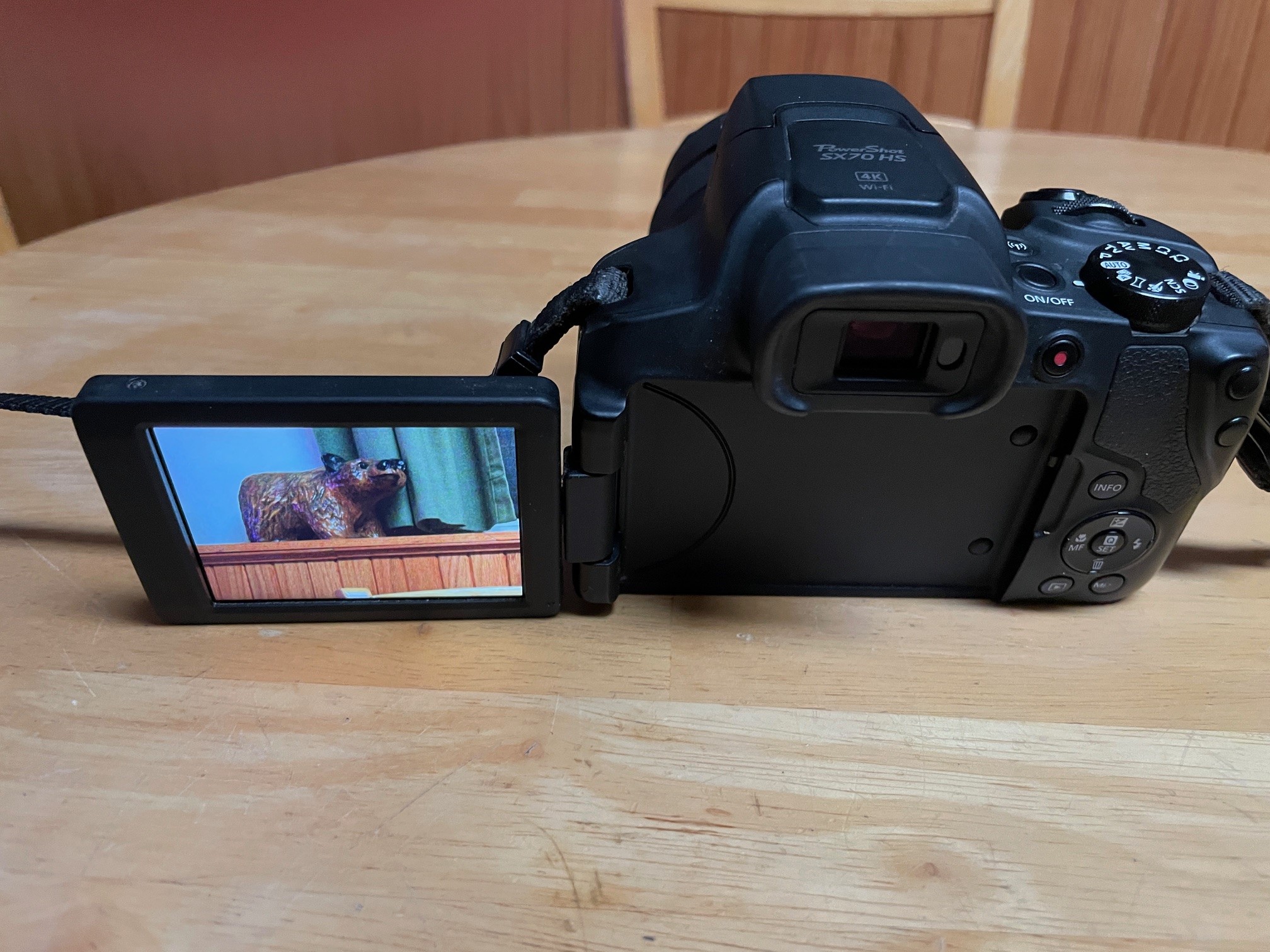 Best Camera for Safari? Simple to Use & Stunning Results