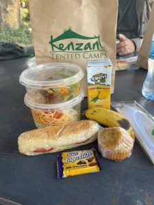 What To Expect On A Safari - 12 Helpful Things to Know