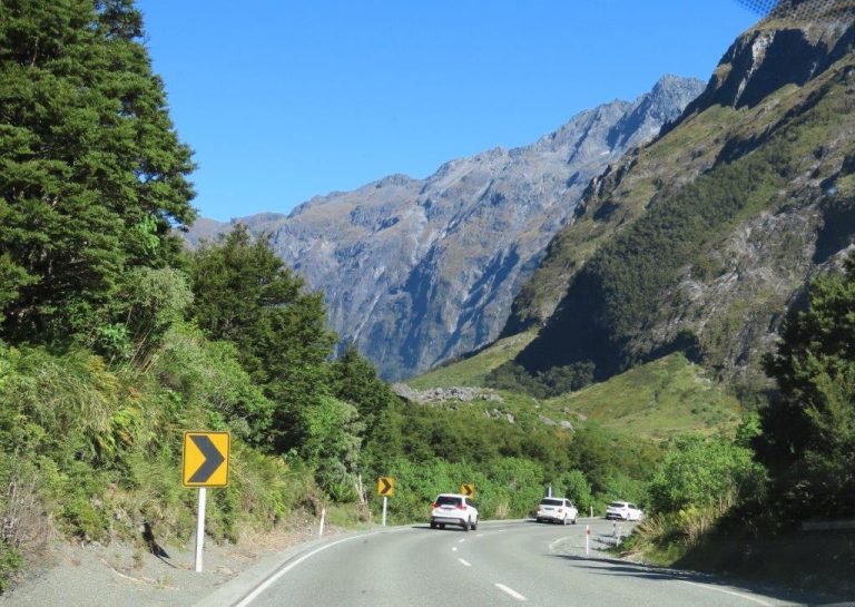 Safe Driving In New Zealand - 10 Things You Need to Know