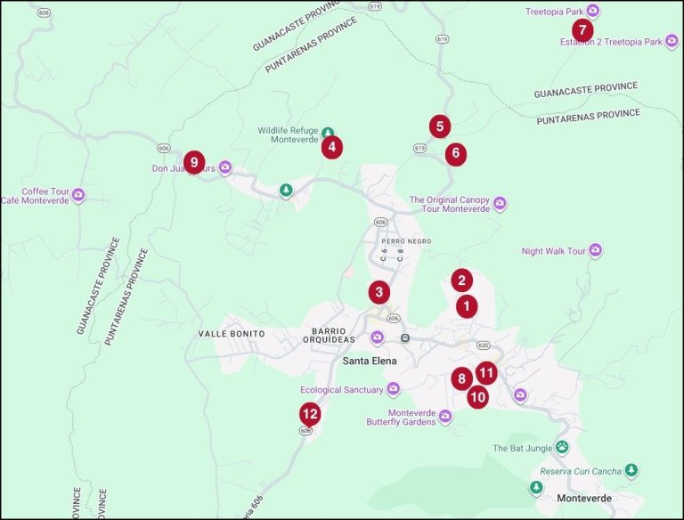Where to Stay in Monteverde – 12 Luxury, Budget & Unique Places